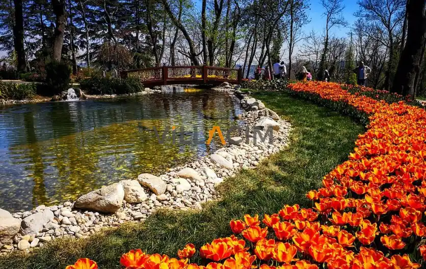 Emirgan'ın Keşfedilmemiş Güzelliklerini Keşfedin | Villacım